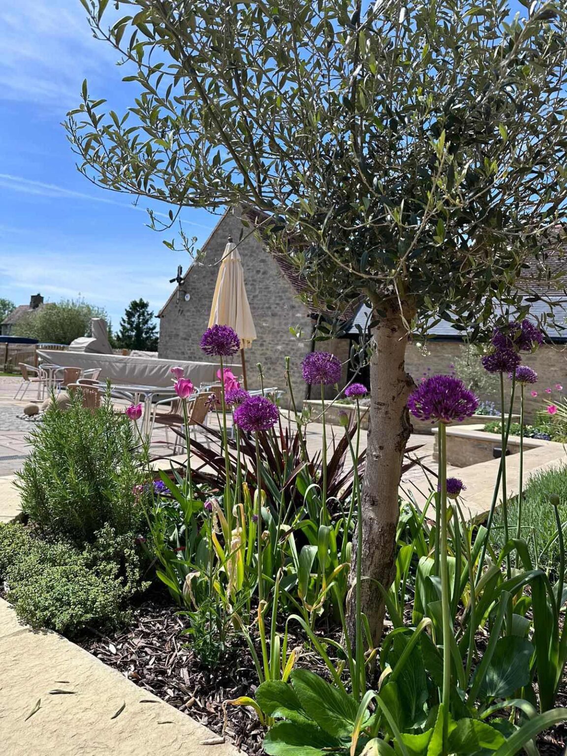 THE PLOUGH INN MARSH GIBBON